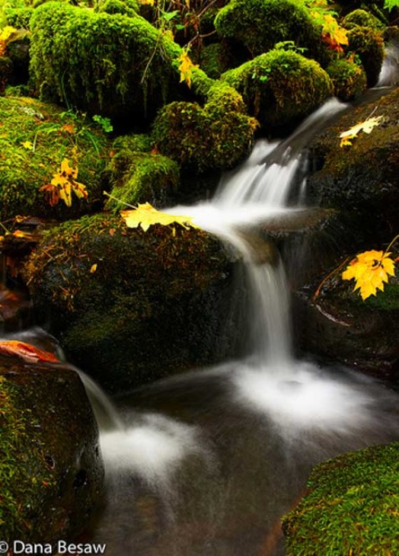 How to Capture the Motion of Moving Water in Photography - PictureCorrect
