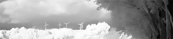 Infrared Photography: Tips on How to Get Started Part 2