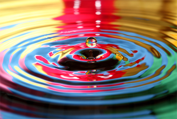 Close-Up and Macro Photography Tips