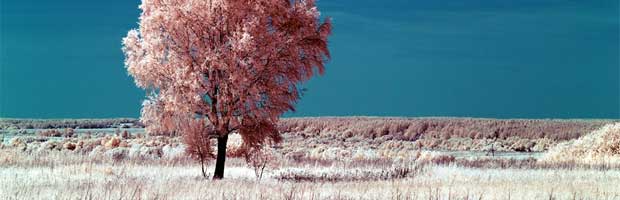 What is Infrared Photography?