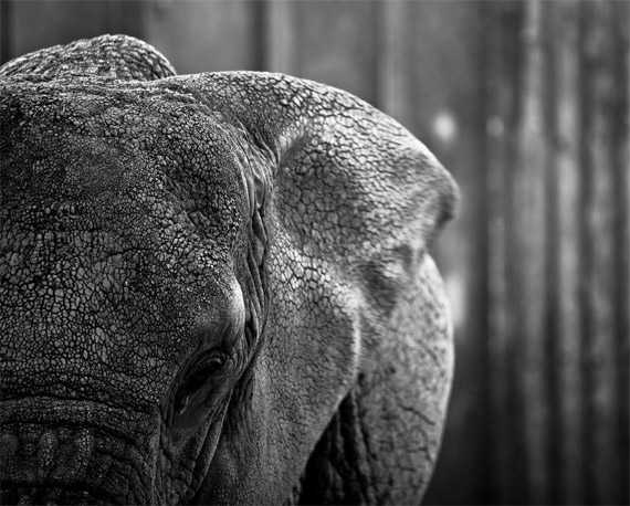 Texture in Photography