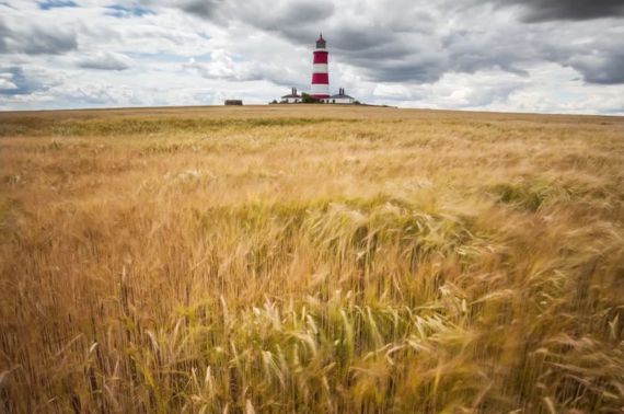 Capturing Subtle Movement in Landscape Photography