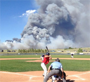 Interesting Photo of the Day: Life Goes on Despite Wildfires