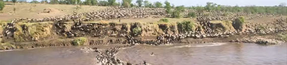 Awe-Inspiring Timelapse Shows the Great Migration of 1.5 Million Wildebeest