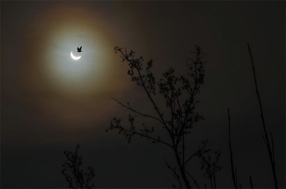 Interesting Photo of the Day: Perfectly Timed Solar Eclipse Shot