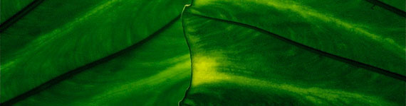 Tips for Creating Great Abstract Photography