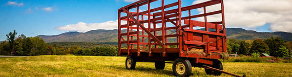 Photography at Noon in Harsh Sunlight