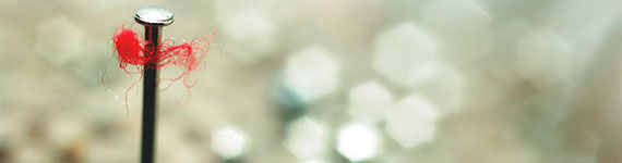 How to Use Bokeh in Photography to Isolate a Subject