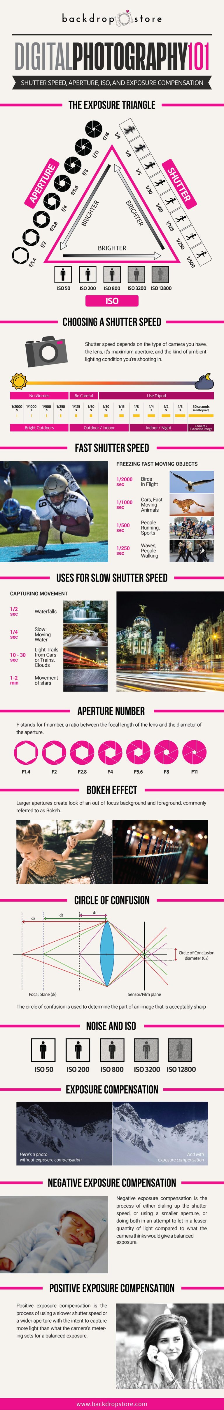 Infographic of Critical Photography Concepts - PictureCorrect