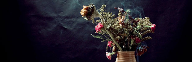 10 Ways to Improve Your Photography in 30 Days