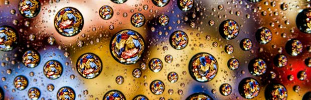 10 Macro Photography Subject Ideas