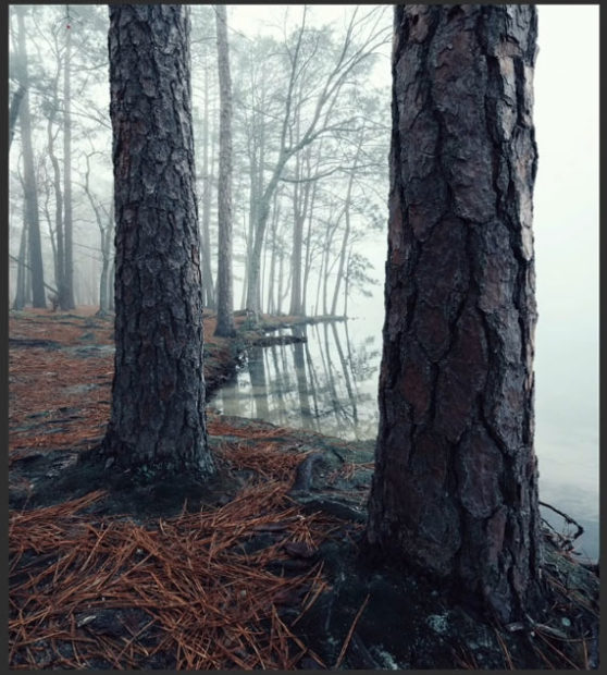 Split Toning Lightroom Photo Editing Tutorial - PictureCorrect