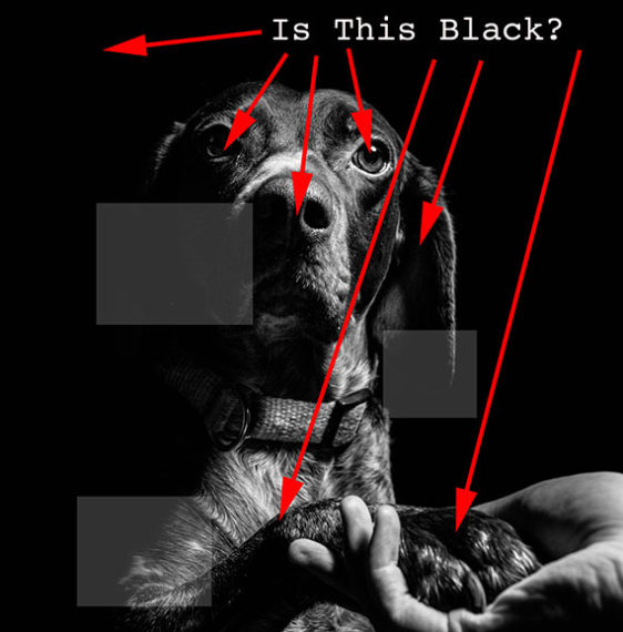 Understanding Black Point for B&W Photography - PictureCorrect