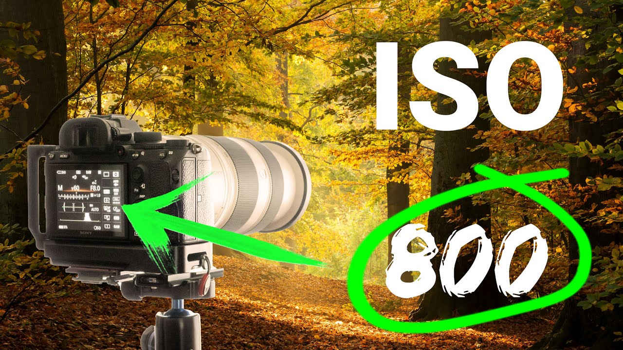 How to Get Noise-less Landscape Images at High ISOs