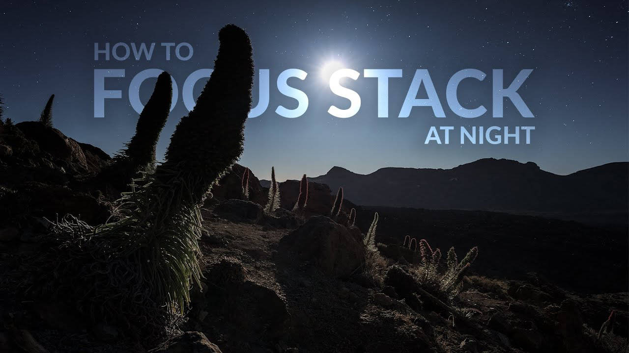 Focus Stacking at Night Tutorial