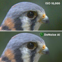 High ISO Noise Reduction Photo Editing Techniques - PictureCorrect