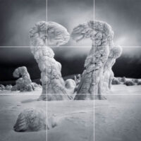 Frozen Trees Landscape Photo Case Study - PictureCorrect