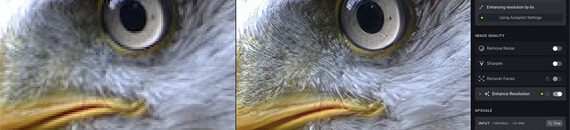 Photography Tips - PictureCorrect