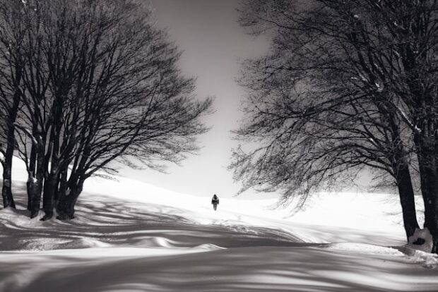 Cold-Weather Minimalism Photography Exercise - PictureCorrect