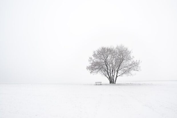 Cold-Weather Minimalism Photography Exercise - PictureCorrect